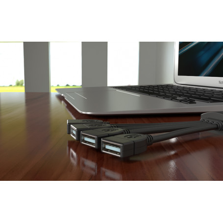 XTC-320 HUB 4 Ptos USB Xtech 2.0 | COMPRATECNO